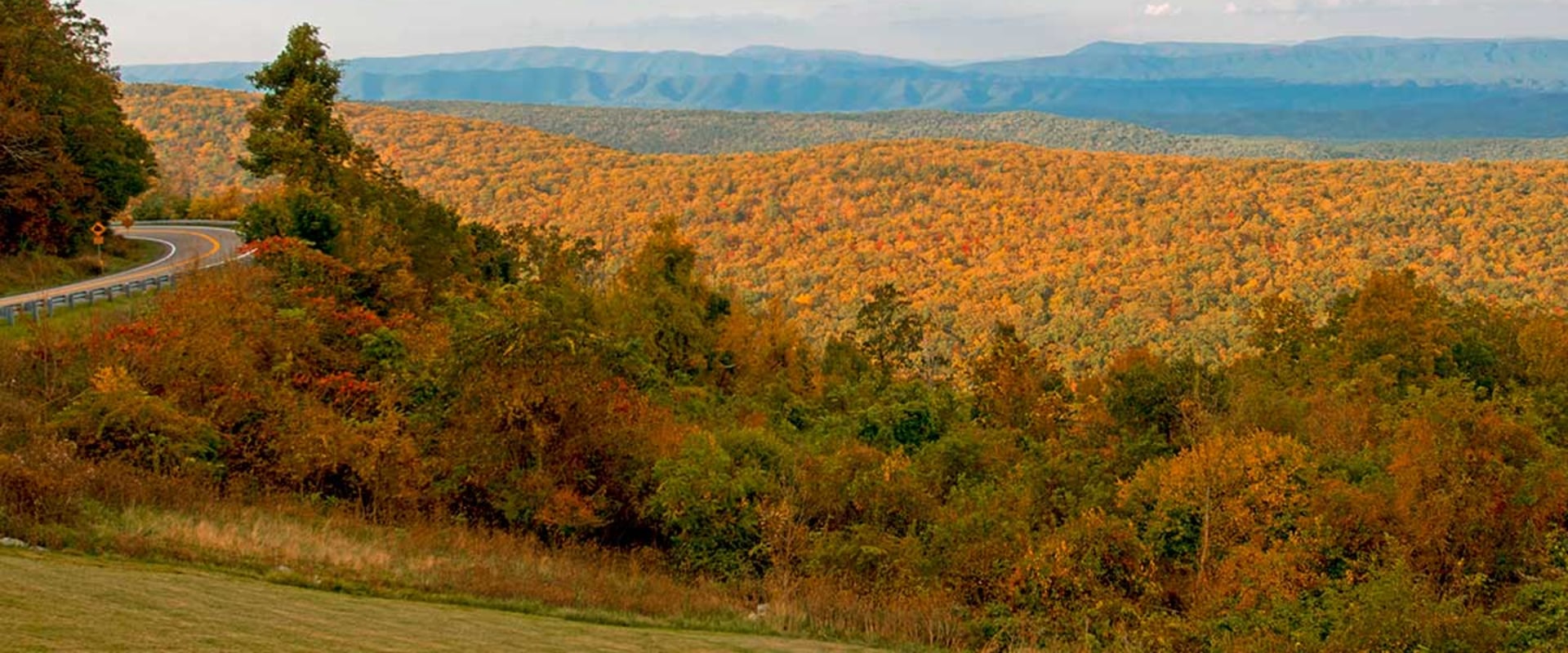 Discover the Beauty of Shenandoah Valley