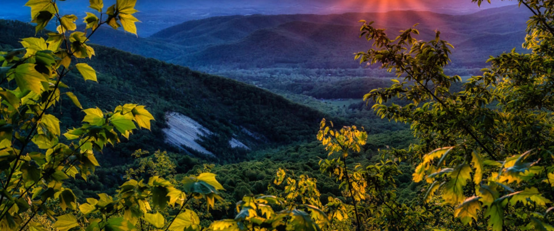 Discover the Beauty of the Blue Ridge Mountains in Virginia